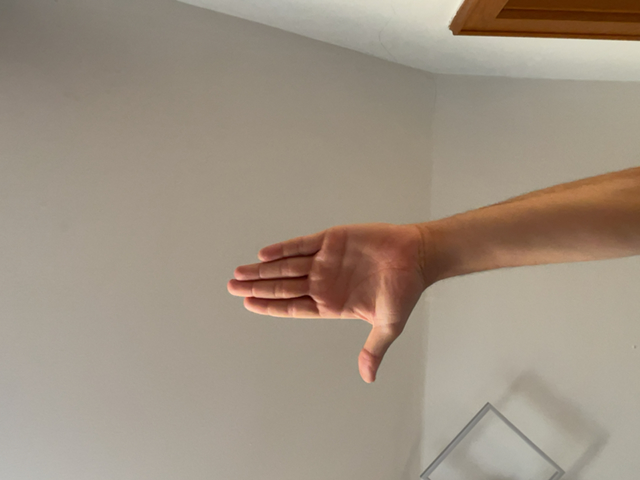 Computer Vision Challenge: Hand Detection – SelectCode